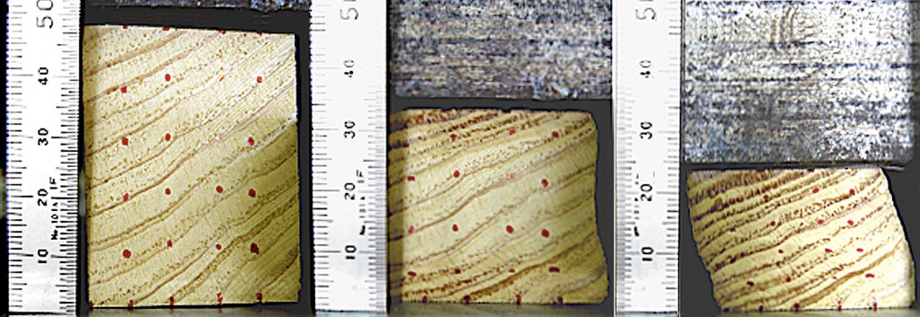 COMPRESSED WOOD FURNITURE, Tokyo - Carbondale